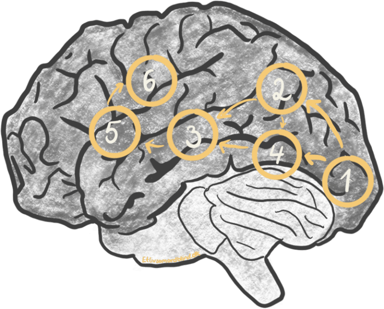 How does a dyslexic brain work? Learn how the dyslexic brain ...
