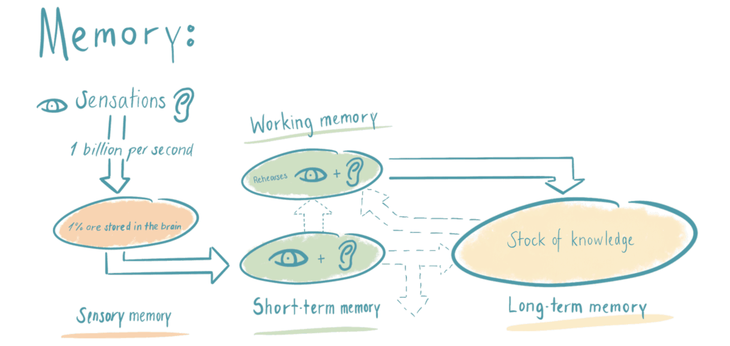 How does a dyslexic brain work? Learn how the dyslexic brain ...